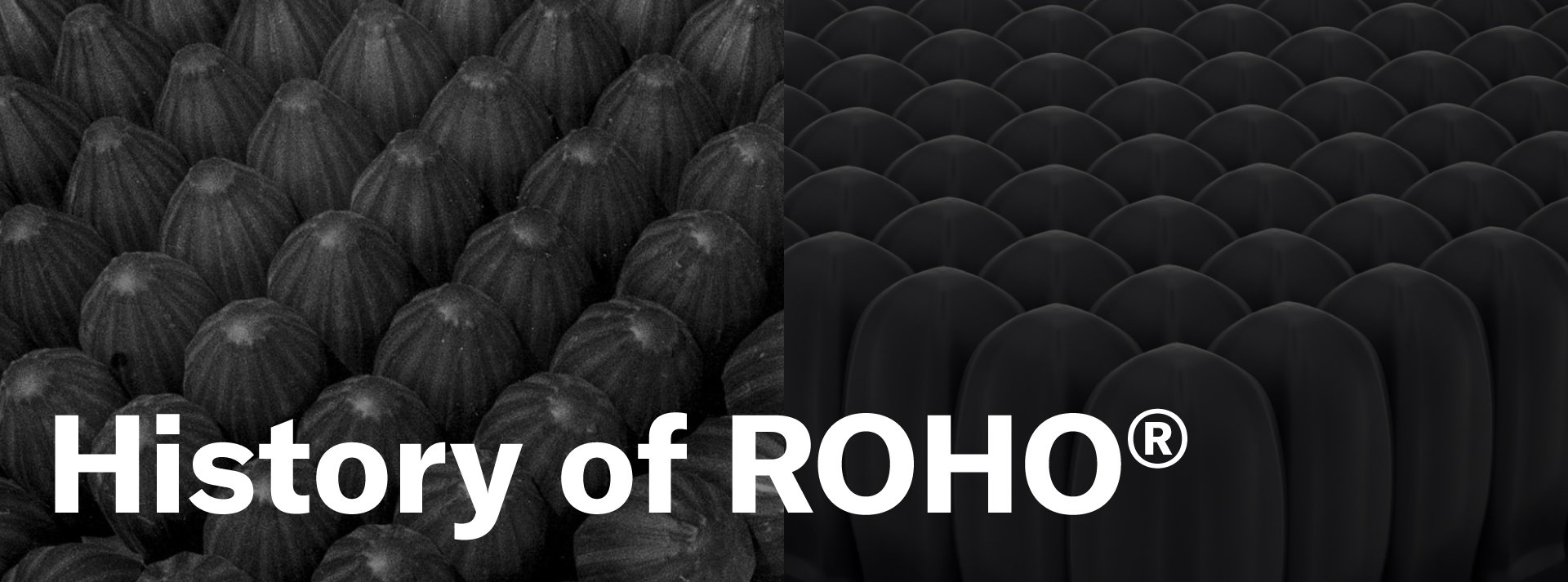 History of ROHO®